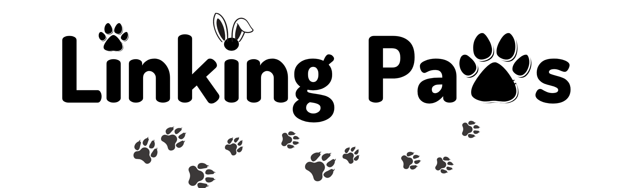 Who are we – Linking Paws
